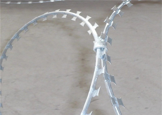 Concertina Razor Barbed Wire /Hot Dipped Galvanized Razor Wire usage protection