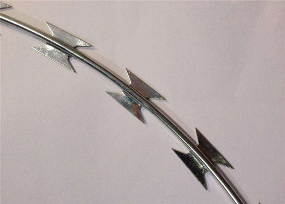 Concertina Razor Barbed Wire /Hot Dipped Galvanized Razor Wire usage protection