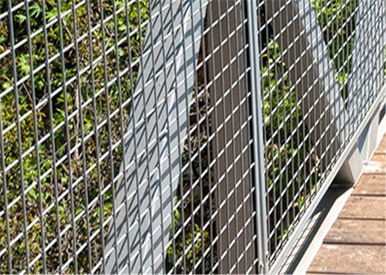 Galvanized welded wire mesh for fence panel,rabbit cage welded mesh,bird cage