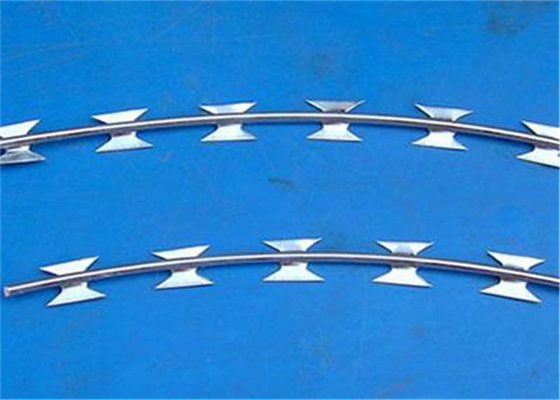 Hot Dipped Galvanized/ Stainless Steel Razor Blade Barbed Wire