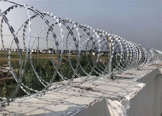 Hot Dipped Galvanized Razor Barbed Wire Low Price Concertina Razor Wire