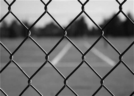 Hot Dipped Galvanized and PVC Coated Chain Link Fence，galvanized steel wire