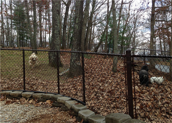 Hot Dipped Galvanized and PVC Coated Chain Link Fence，galvanized steel wire