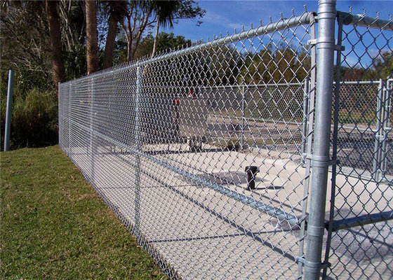 Corrugated metal woven mesh decorative curtain wall mesh crimped wire mesh