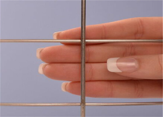 Welded Hardware Cloth Plain Weave 2-500 Mesh Hot Dip Galvanized Woven Iron Wire Mesh