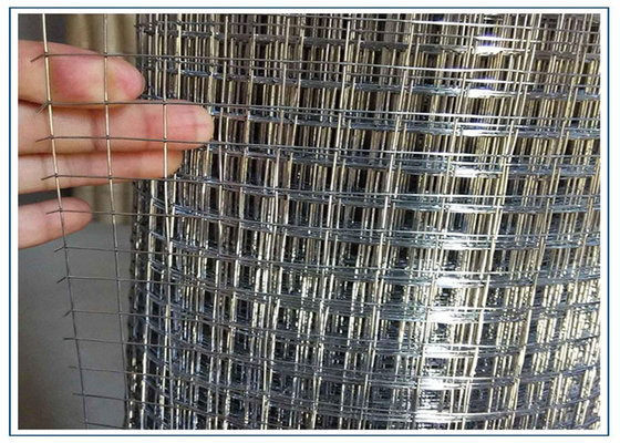 1/4 inch 1/2inch stainless steel welded wire mesh/wire mesh welded netting