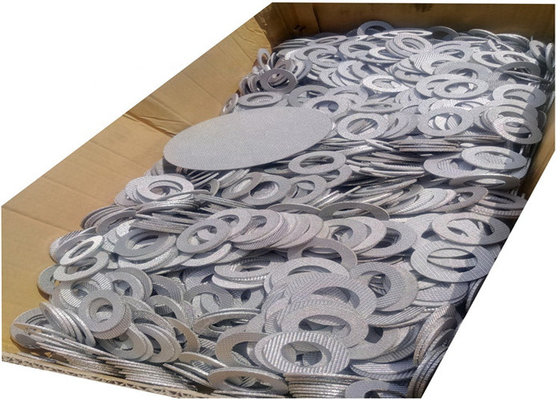 Stainless Steel 304SS 316SS 316l 100mesh Sintered Filter Disc with O-Ring