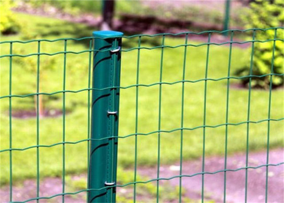 Vinyl Wire Mesh Fence Panels For Welded Euro Fence,Double Wire Mesh Fence Panel