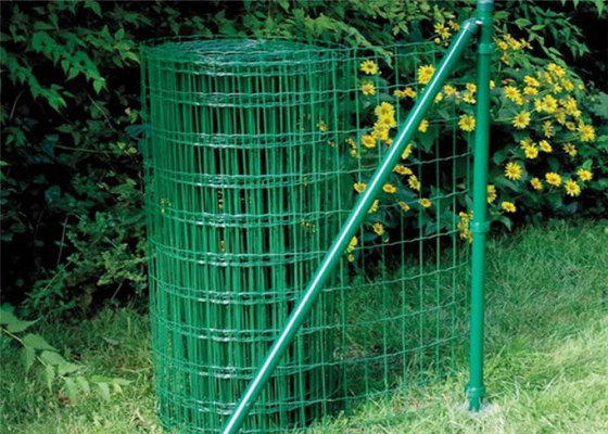 Green PVC Coated holland wire mesh /dutch wire mesh/Euro fence netting
