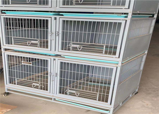 Wire Hot dipped galvanized Cheap Layer pigeon cage Breeding With Pigeon Accessories