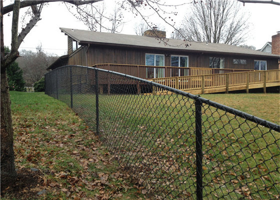 Cheap galvanized or green pvc coated roll galvanized chain link fence