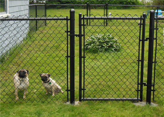 Export wire mesh fence fast delivery time chain link mesh PVC coated chain link fence