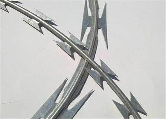 Galvanized Razor Wire Coils With Loops ，Steel Wire, Hot Dipped Galvanized/Electro Galvani