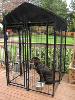 American metal outdoor dog kennel / outdoor big dog cage,plastic surface treatment