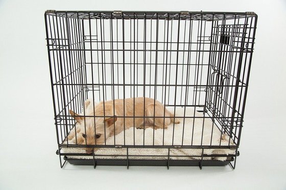 DIVTOP Double Door Wire Dog Crate,Professional High Quality Metal Dog Kennel High Duty Large Animal Dog Cage.