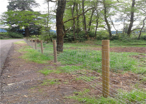 galvanized chain link fence,secure and durable choice in permanent fencing,ensures long life and low maintenance.