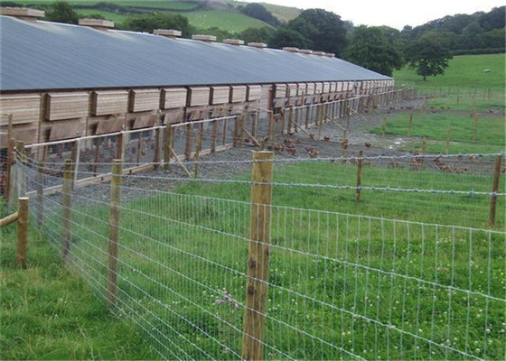 galvanized chain link fence,secure and durable choice in permanent fencing,ensures long life and low maintenance.
