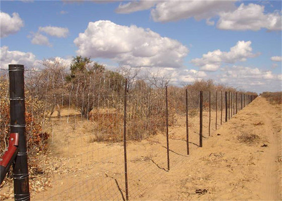 chain wire chainlink wire custom gridchain link fence,chain link fence is made of high quality hot-dip galvanized (or PV
