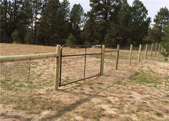 chain wire chainlink wire custom gridchain link fence,chain link fence is made of high quality hot-dip galvanized (or PV
