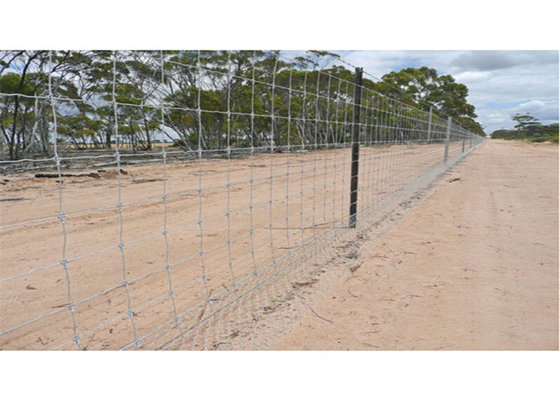 chain wire chainlink wire custom gridchain link fence,chain link fence is made of high quality hot-dip galvanized (or PV