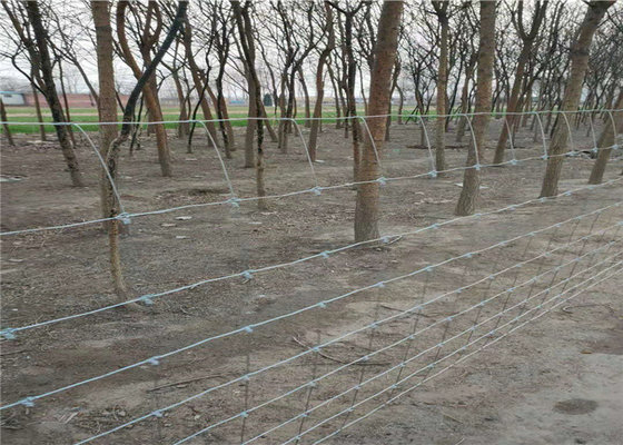 used chain link fence for sale, galvanized chain link fence,mainly used as safety fence for house, building, breeding of