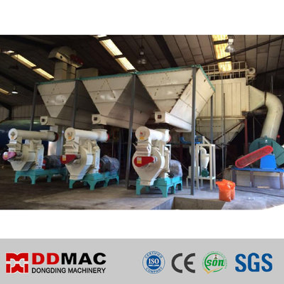Customized Pelletizing Solution to Wood Sawdust, Bagasse, Wood Chips, Rice Husk, Wood Pellet Production Line