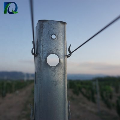 Metal Vineyard Grape Trellis Post