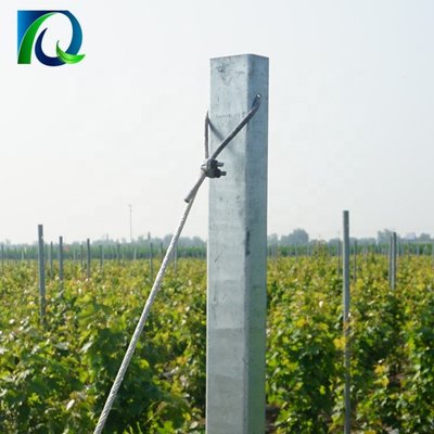 Metal Vineyard Grape Trellis Post