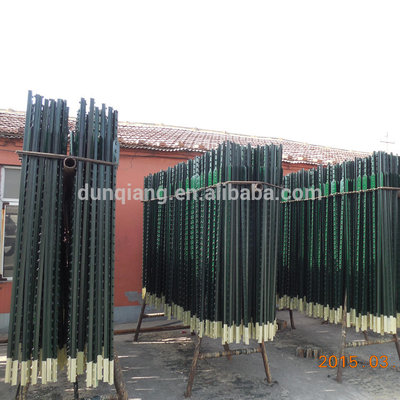Cheap Steel Fence Widely Used T Posts for Sale