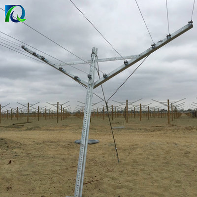 Table Grape Trellis Systems Open Gable Trellis