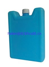 China 530ml icepack Leisure Outdoor Cooler Box -Plastic lunch box-Beach Coolerbox mate supplier