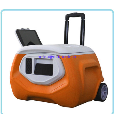 40cans 28L MP3 bluetooth wireless music Outdoor Cooler Box supplier