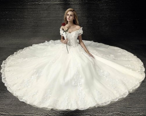 Exquisite Slim Lace Princess Wedding Gowns Summer elegant wedding dresses LXHS-1558