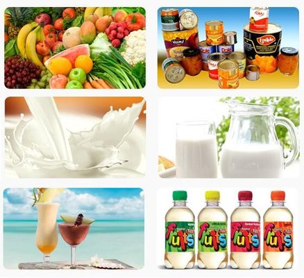 Food Industrial Metal Vegetable Processing Equipment for Vegetable Line High Speed