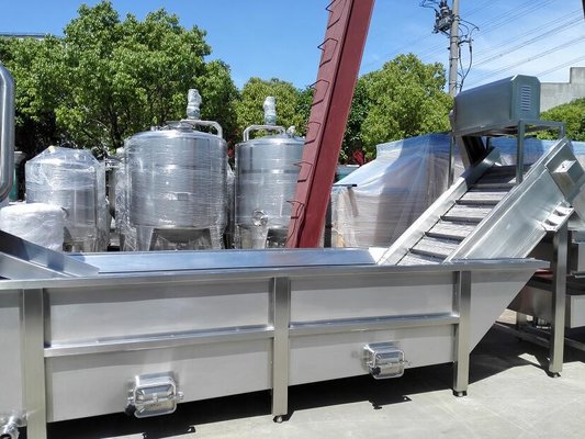 Fruit Surfing Washing Brush Washing Machine Full Automatic Fruit Processing Equipment