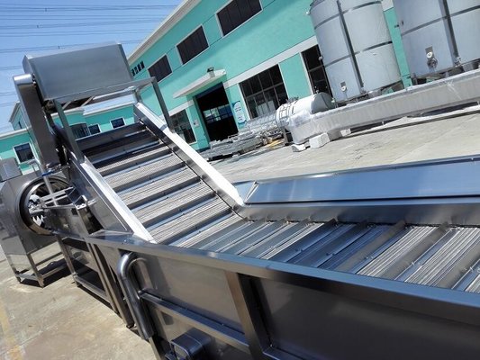 ISO 3 Steps + Surfing Washing Machine Vegetables / Fruit Processing Equipment