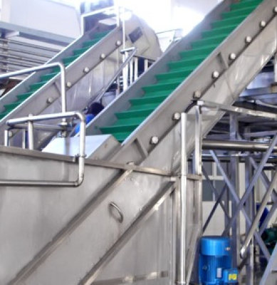 Large Capacity Clapboard Elevating Conveyor Commercial Food Processing Equipment for Vegetable