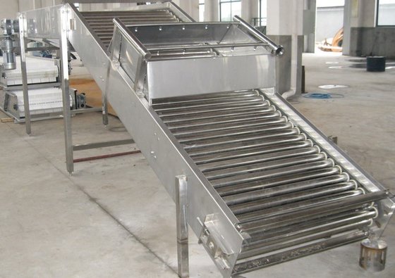 Auto Fruit Juice Production Line Fruit Processing Machinery with Stainless Steel