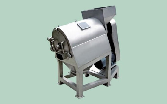 Vegetable & Fruit Stone Washer Fruit Juice Manufacturing Plant Equipment