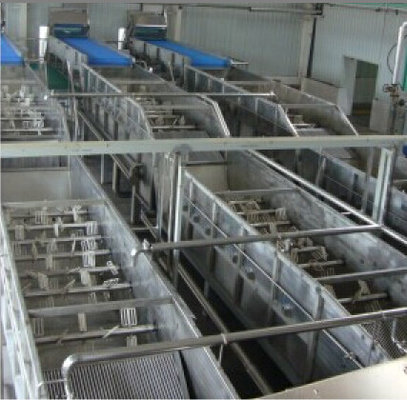Auto Floating Washing Machine Fruit Processing Plant for Fruit Juice Processing