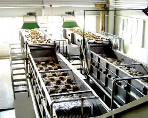 Auto Floating Washing Machine Fruit Processing Plant for Fruit Juice Processing