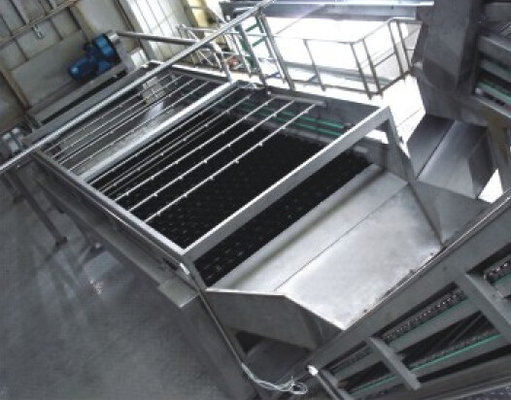 Stainless Steel Brush Cleaning Machine Fruit Processing Machinery Automatic