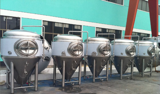 Stainless Steel Fermentation Tanks Highly Polished Beer Brewery Production Line