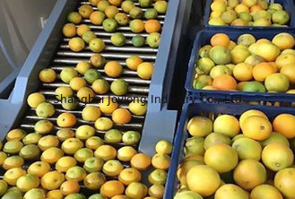 Apple Orange Juice Extractor Aseptic Big Bag Package Turn Key Projects