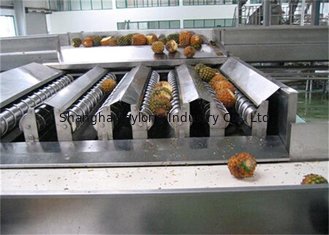 Flexible Concentrate Juice Processing Plant , Juice Extration Machine