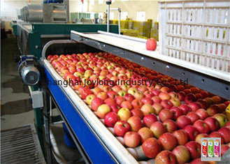 Electric 20T/H Bottled Orange Juice Production Line Automatic