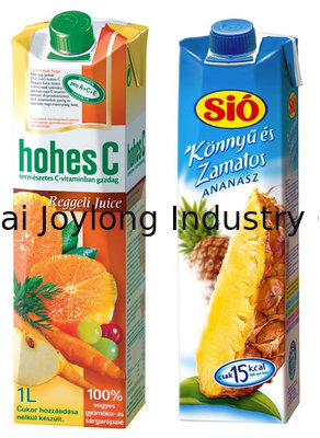 Turn - Key  Orange and Mango Fruit Processing Line for 500-1000ml