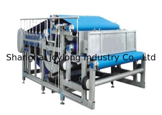 Fresh Pineapple Fruit Processing Line , juice bottle filling machine