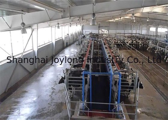 Milk Powder Packing Machine Turn Key Projects Solution SUS304