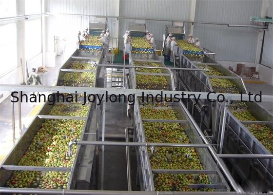 Apple Orange Juice Extractor Aseptic Big Bag Package Turn Key Projects